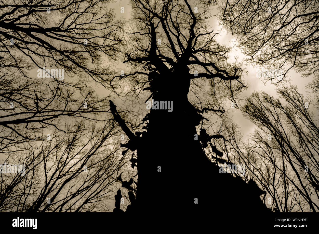 Horrendous hi-res stock photography and images - Alamy