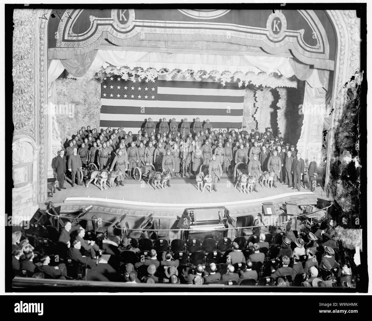 Belgians Cut Out Stock Images & Pictures - Alamy