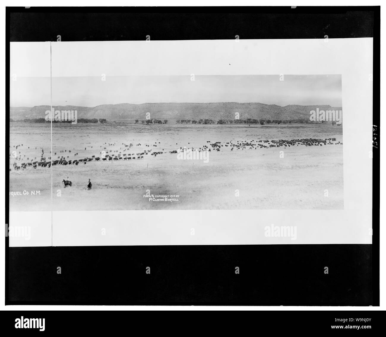 Bell ranch Cut Out Stock Images & Pictures - Alamy