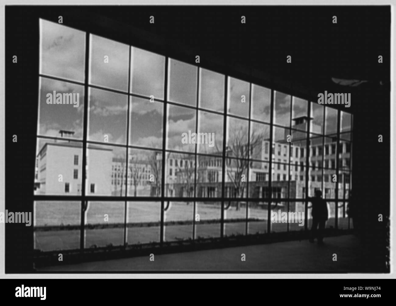 Bell Hospital Lab Phone Number at William Everhart blog