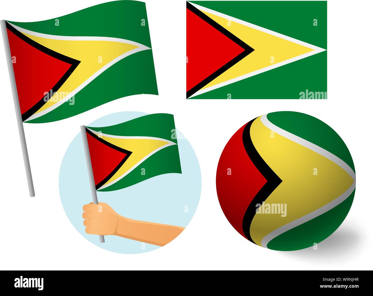 Guyana flag icon set. National flag of Guyana vector illustration Stock Vector Image & Art - Alamy