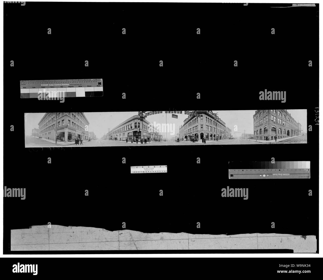 Holly washington Cut Out Stock Images & Pictures - Alamy