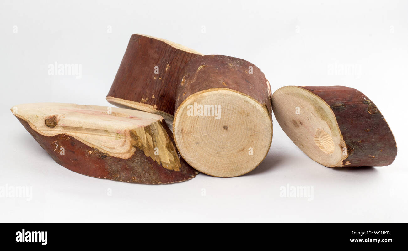 Small wooden tree stumps isolated Stock Photo - Alamy