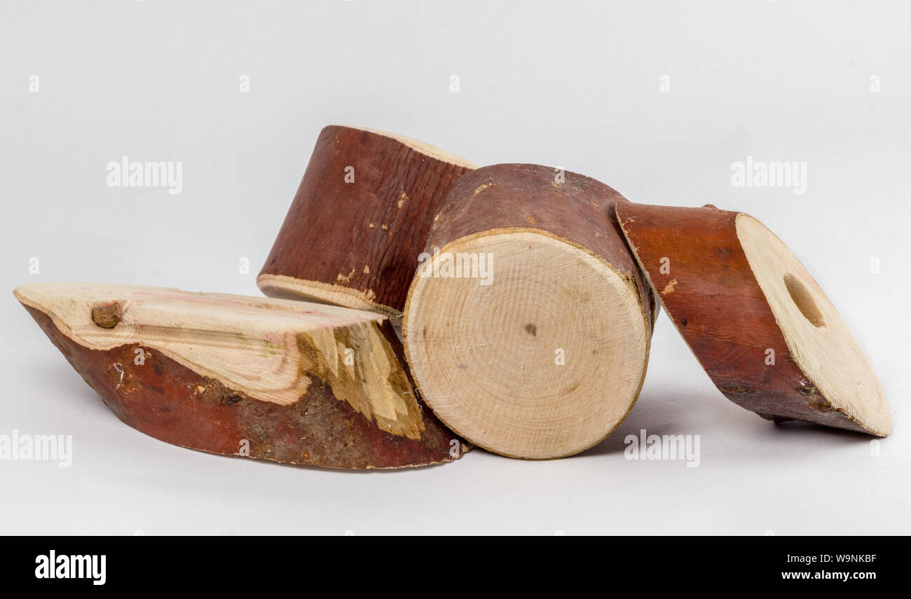 Small wooden tree stumps isolated Stock Photo - Alamy