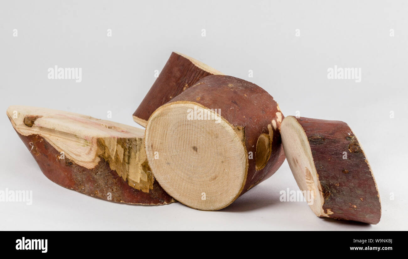 Small wooden tree stumps isolated Stock Photo - Alamy