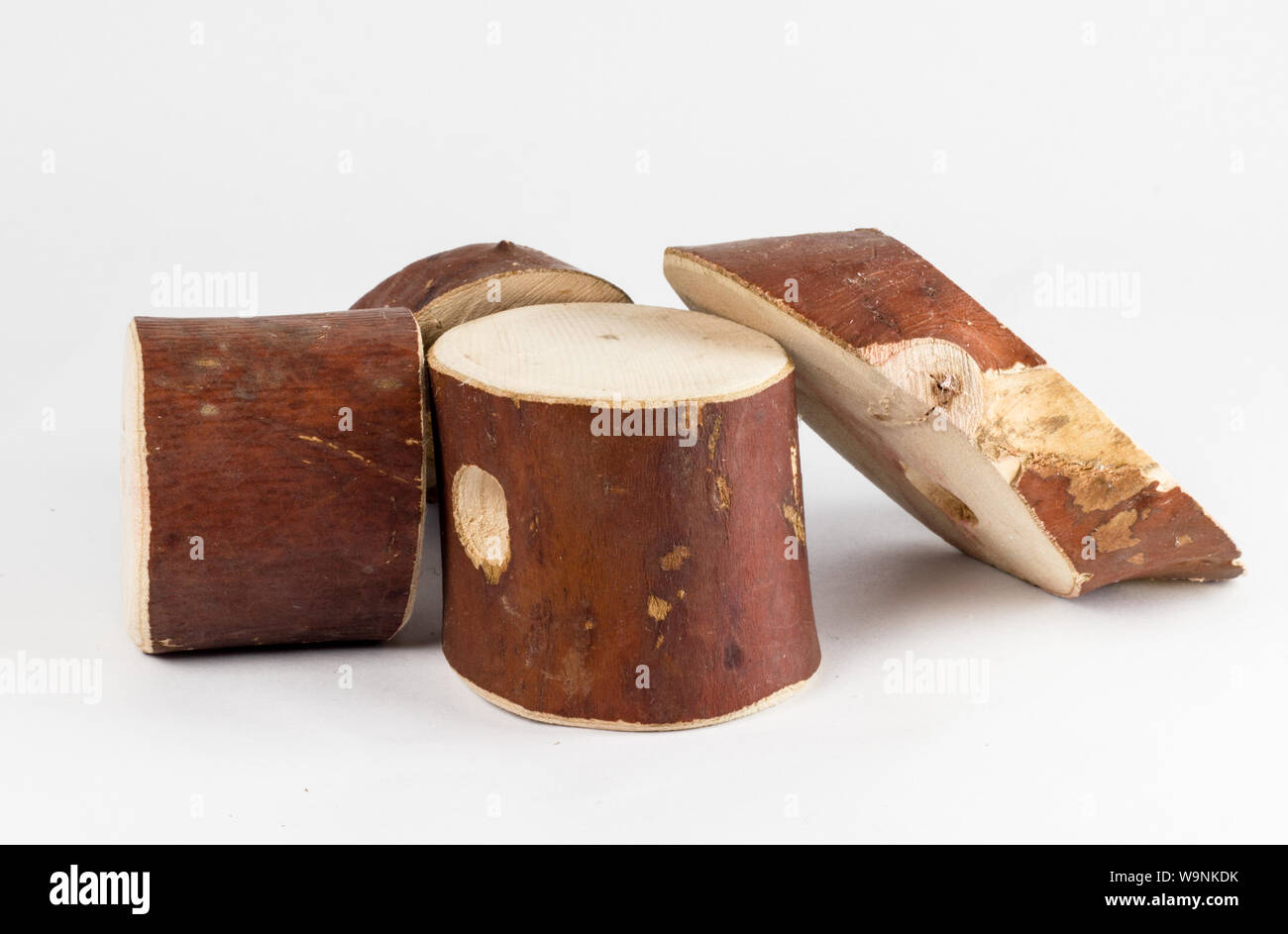 Small wooden tree stumps isolated Stock Photo - Alamy