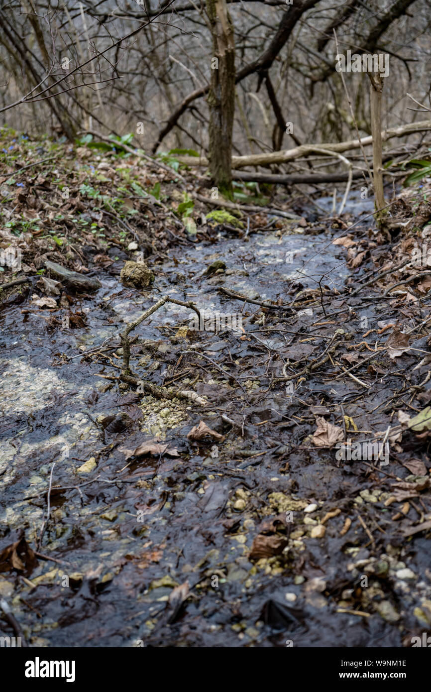 path of nature spring clear water source in wild forest in western ...