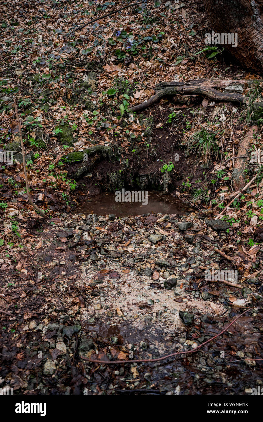 Natural underground spring water source in wild forest , western ...