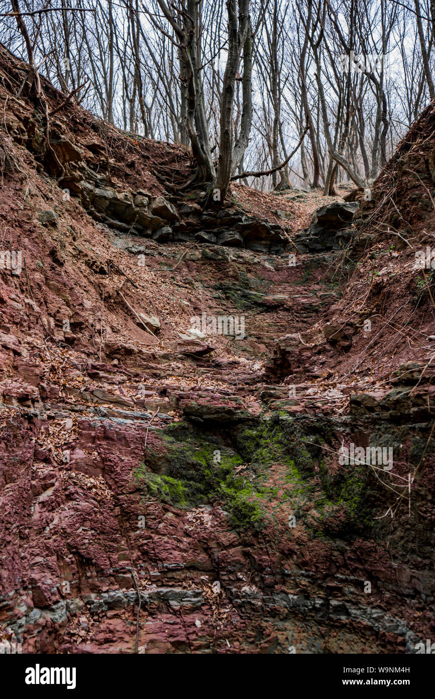 red Rock walls of ravine with trees on the top and green moss Stock ...