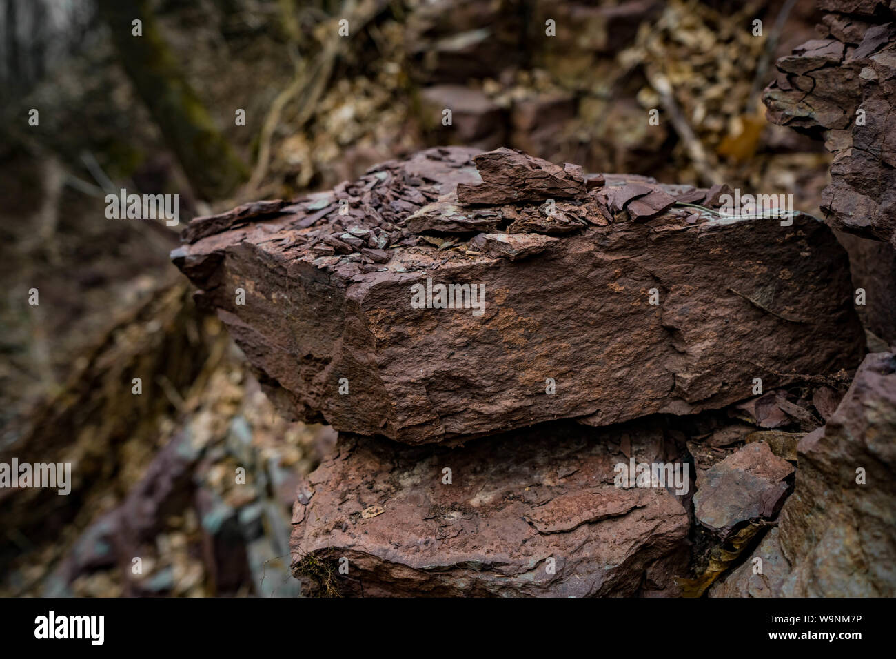 Red and blue cracked rock closeup , with blur background wild forest ...