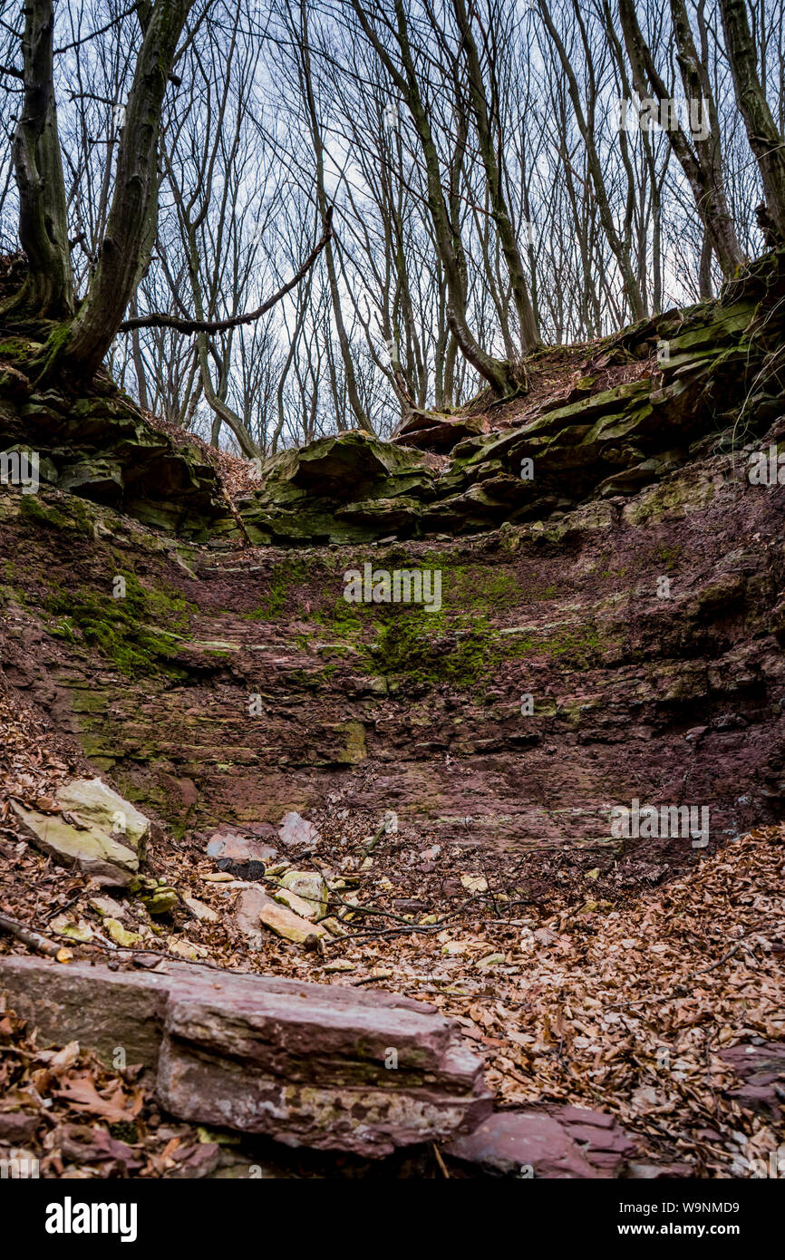red Rock walls of ravine with trees on the top and green moss Stock ...