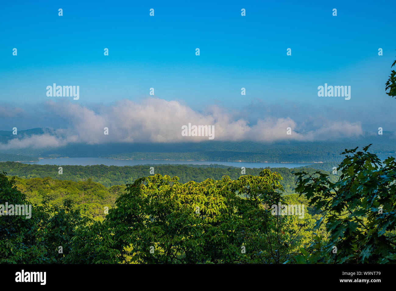 Beautiful nature, forest and mountains. Landscape background layered ...