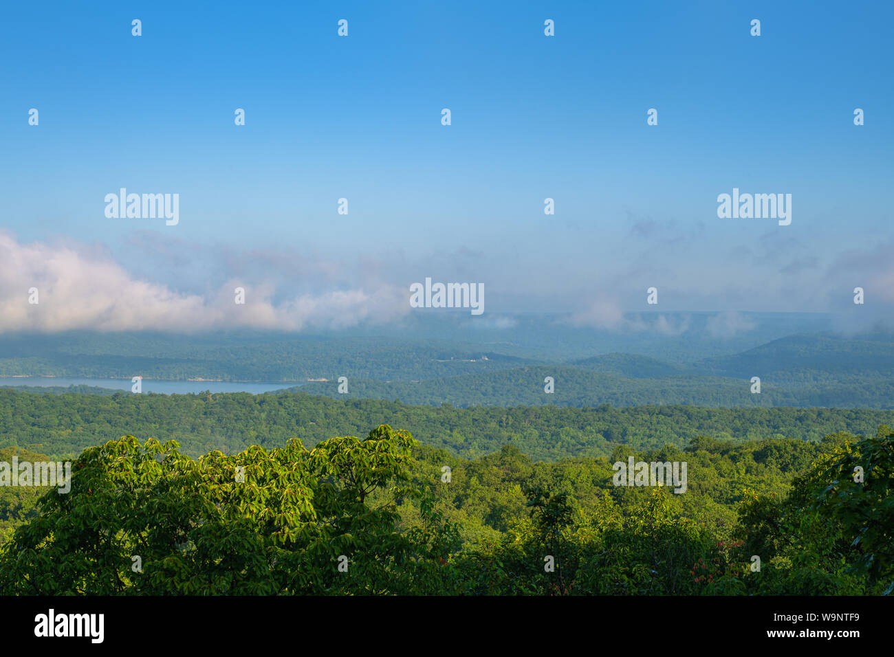 Beautiful nature, forest and mountains. Landscape background layered ...