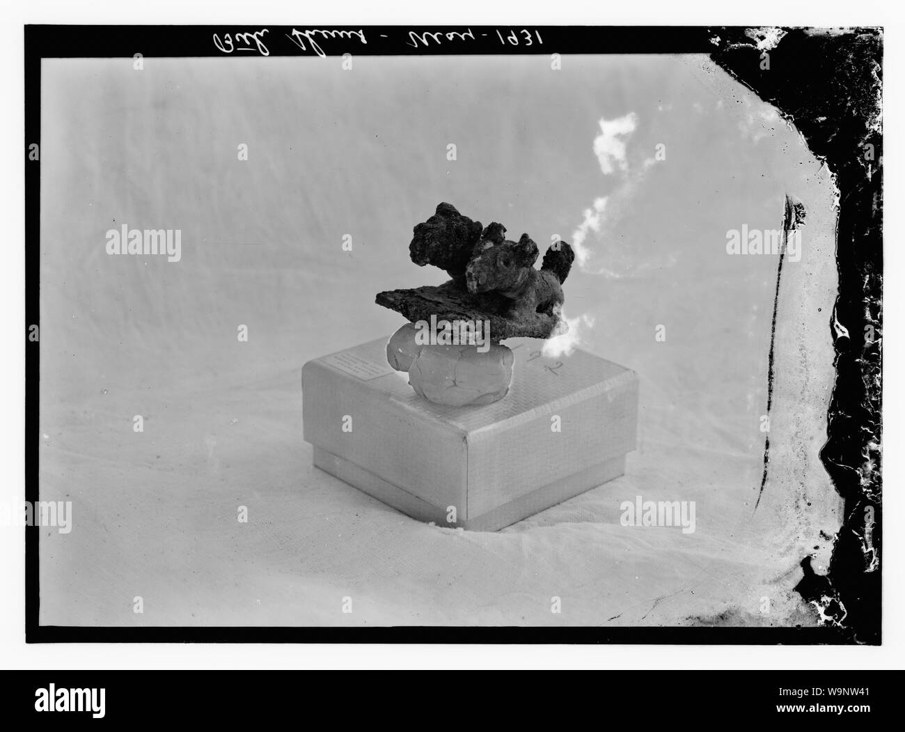 Shems Cut Out Stock Images & Pictures - Alamy