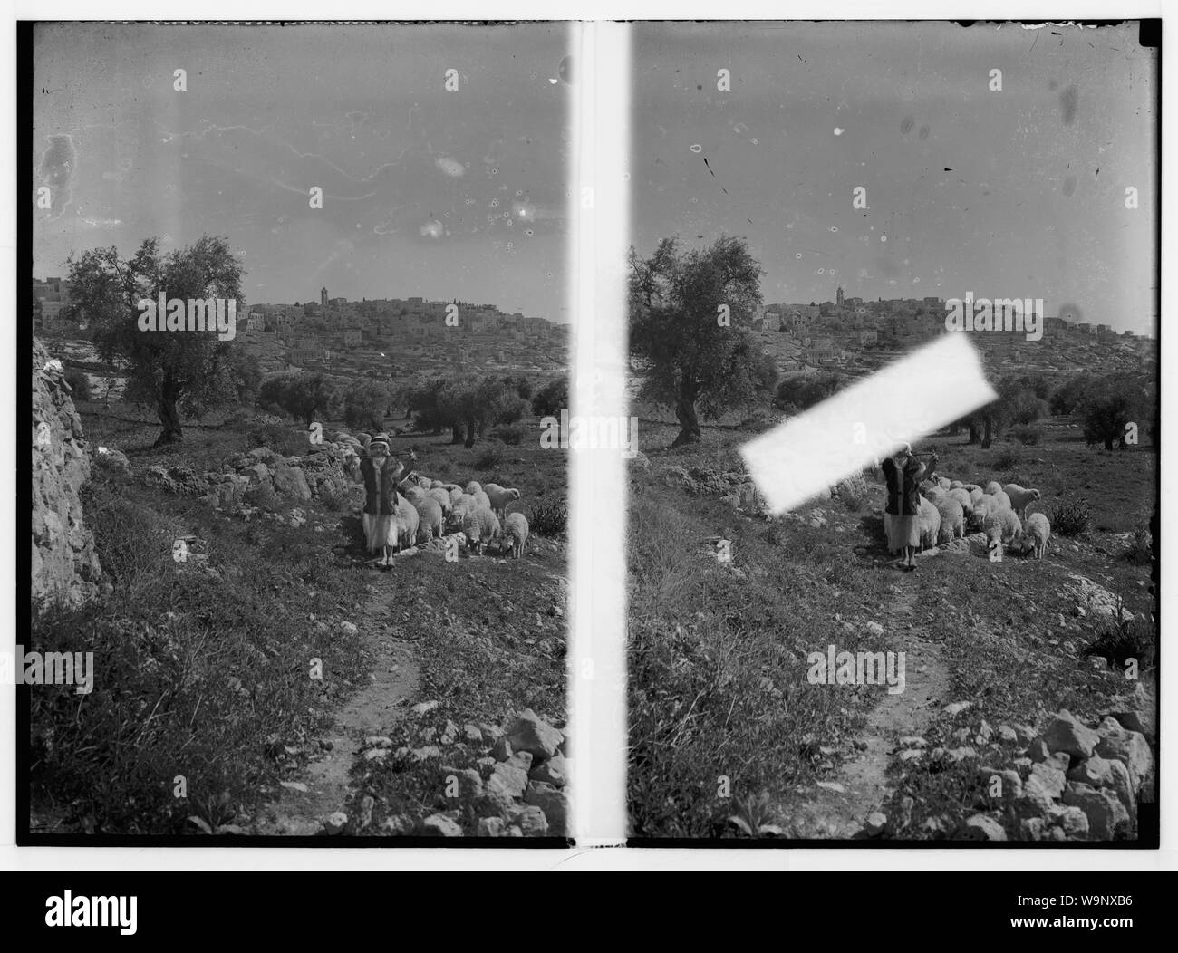 Bethlehem and surroundings. Bethlehem on the hill. With shepherd ...