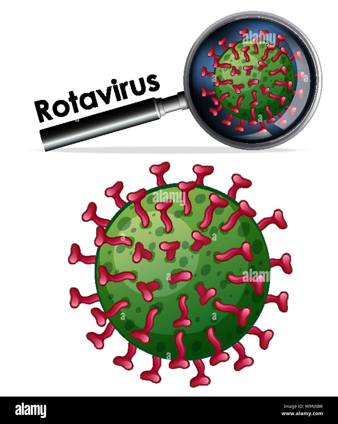 Close up isolated object of virus named Rotavirus illustration Stock ...