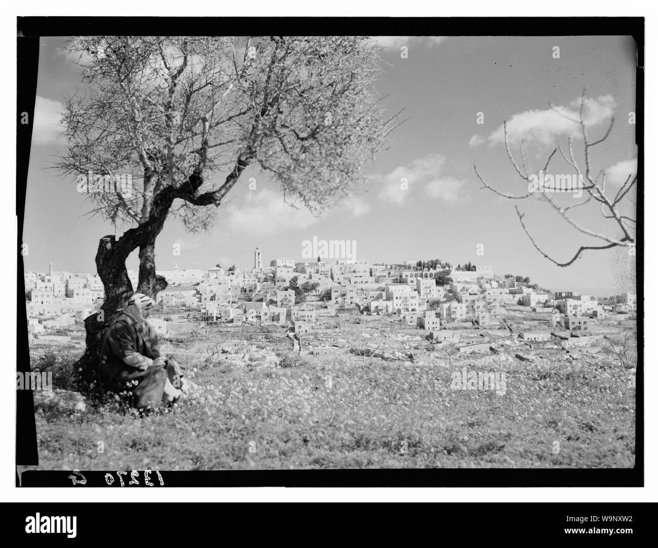 Southern view Cut Out Stock Images & Pictures - Alamy