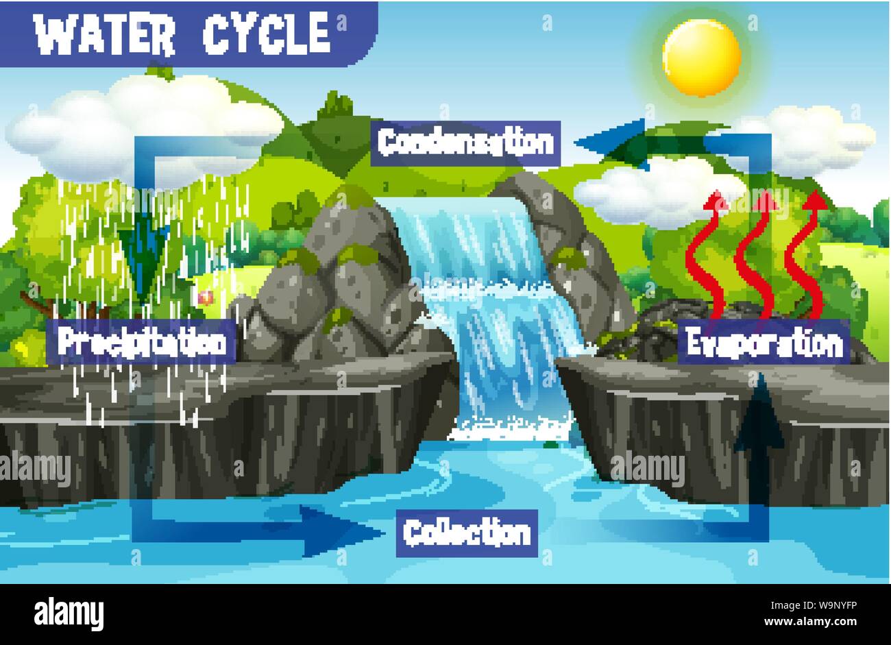 Water cycle process on Earth - Scientific illustration Stock Vector ...
