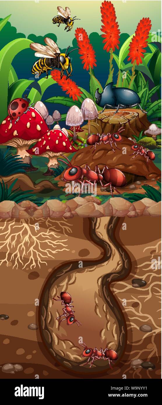 Nature scene with ant maze and flowers illustration Stock Vector Image ...
