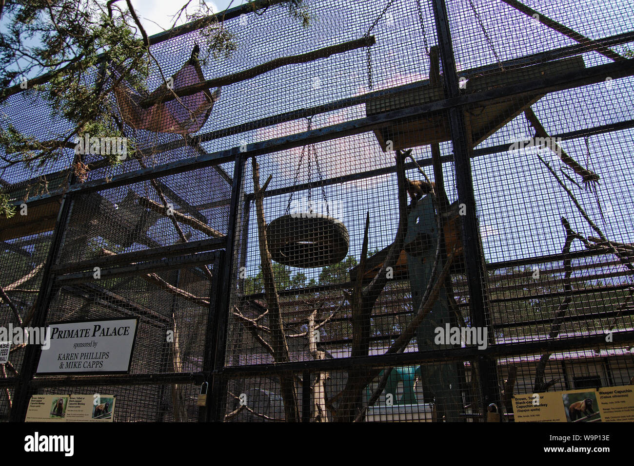 Monkey cage at the zoo with a tire swing Stock Photo - Alamy