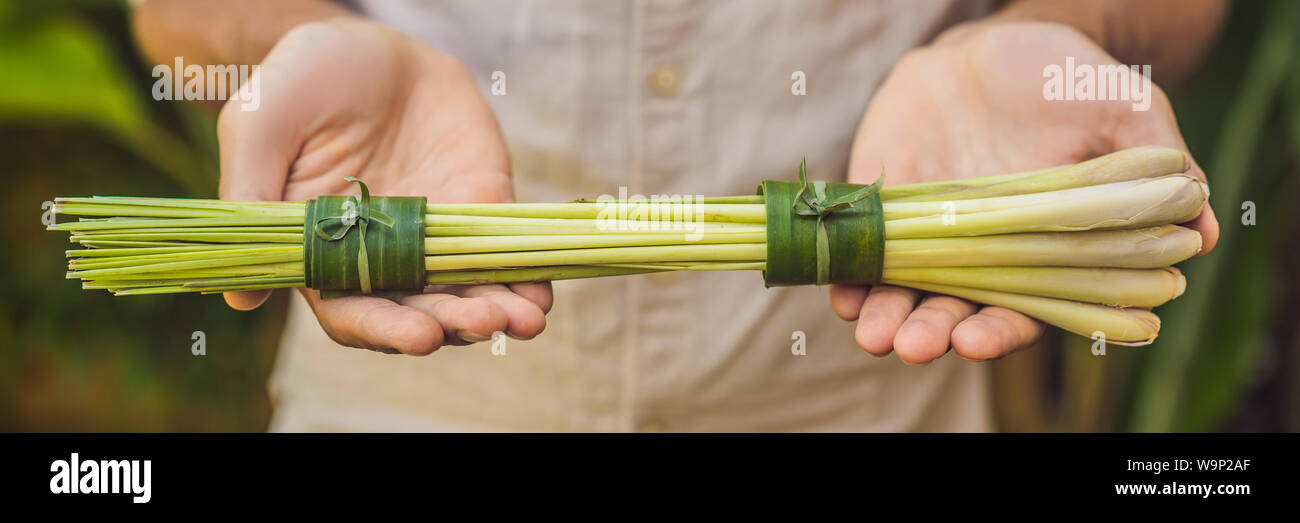 Eco-friendly product packaging concept. Lemongrass wrapped in a banana ...