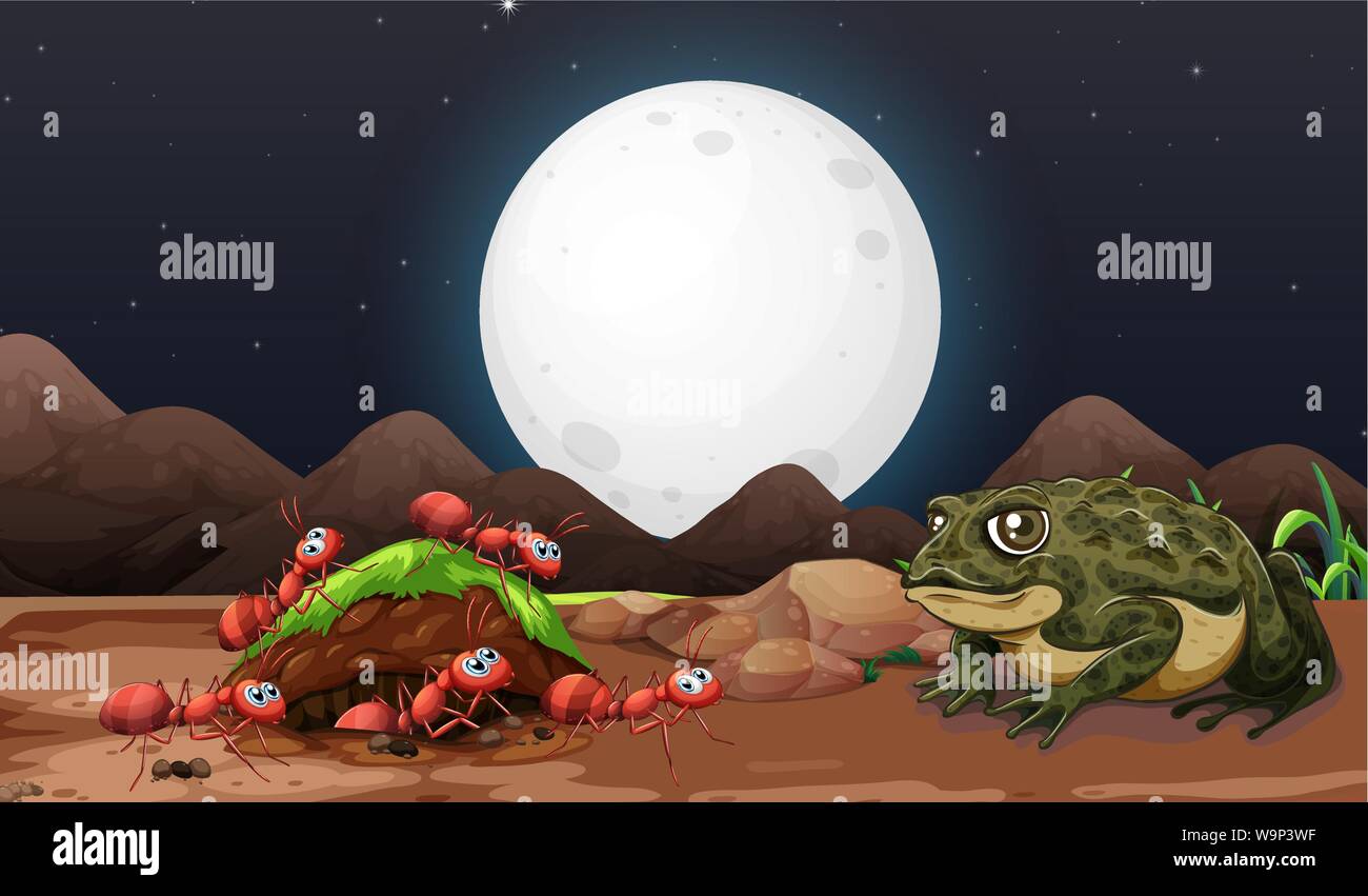 Nature scene with ants and toad at night illustration Stock Vector ...