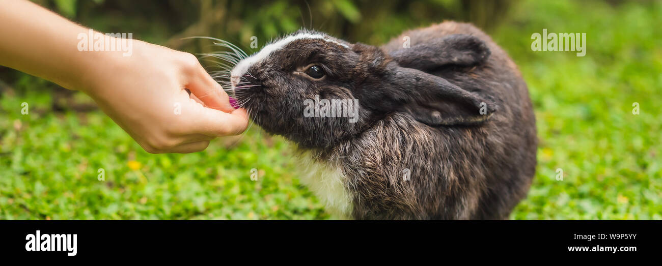 Animal Testing Cosmetics Facts