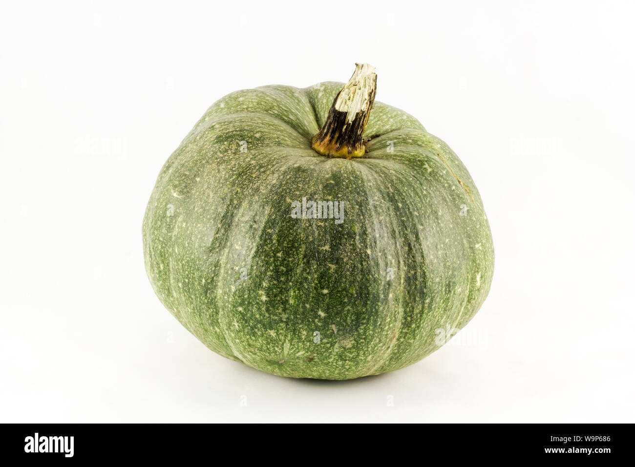 Pumpkin isolated on white background Stock Photo - Alamy