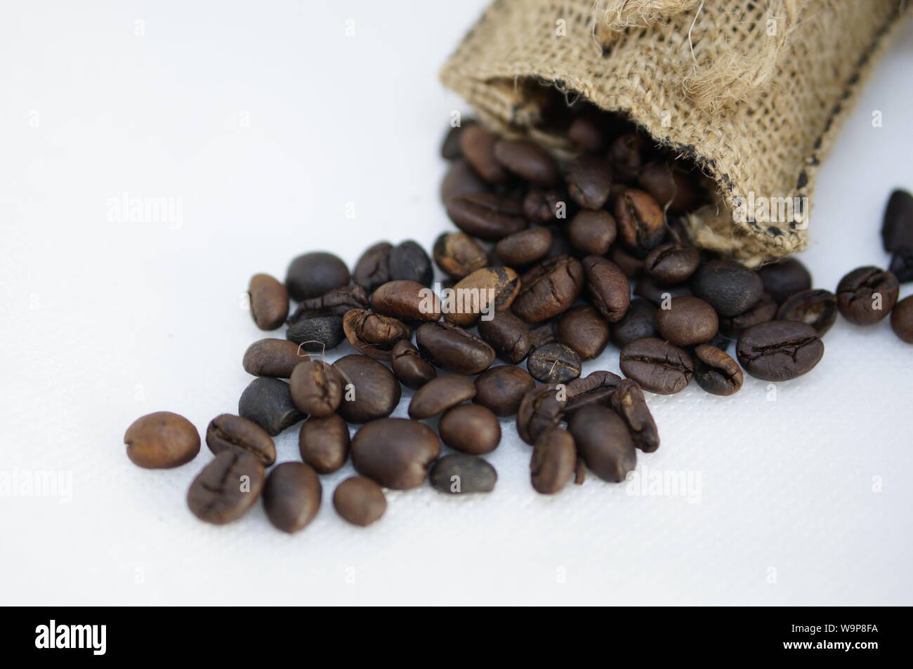 coffee beans on a white background Stock Photo - Alamy