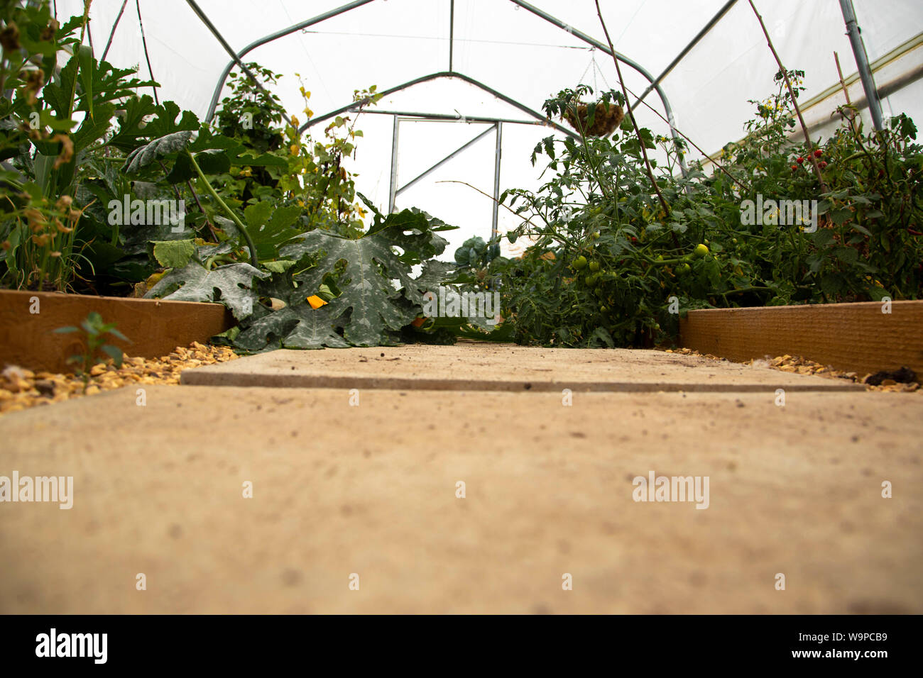 Inside poly tunnel hi-res stock photography and images - Alamy