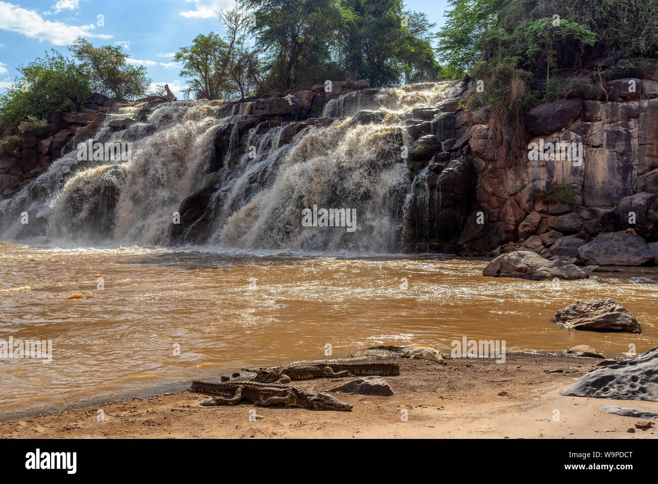 Fall in Awash National Park. Waterfalls in Awash wildlife reserve in ...