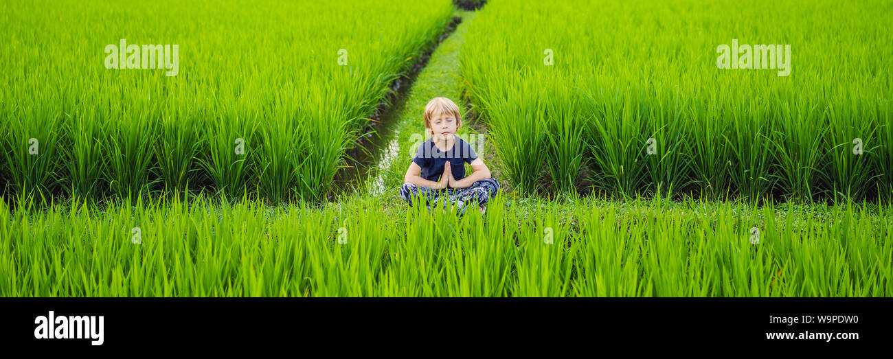 Little boy practices yoga in a rice field, outdoor. Gymnastic exercises ...