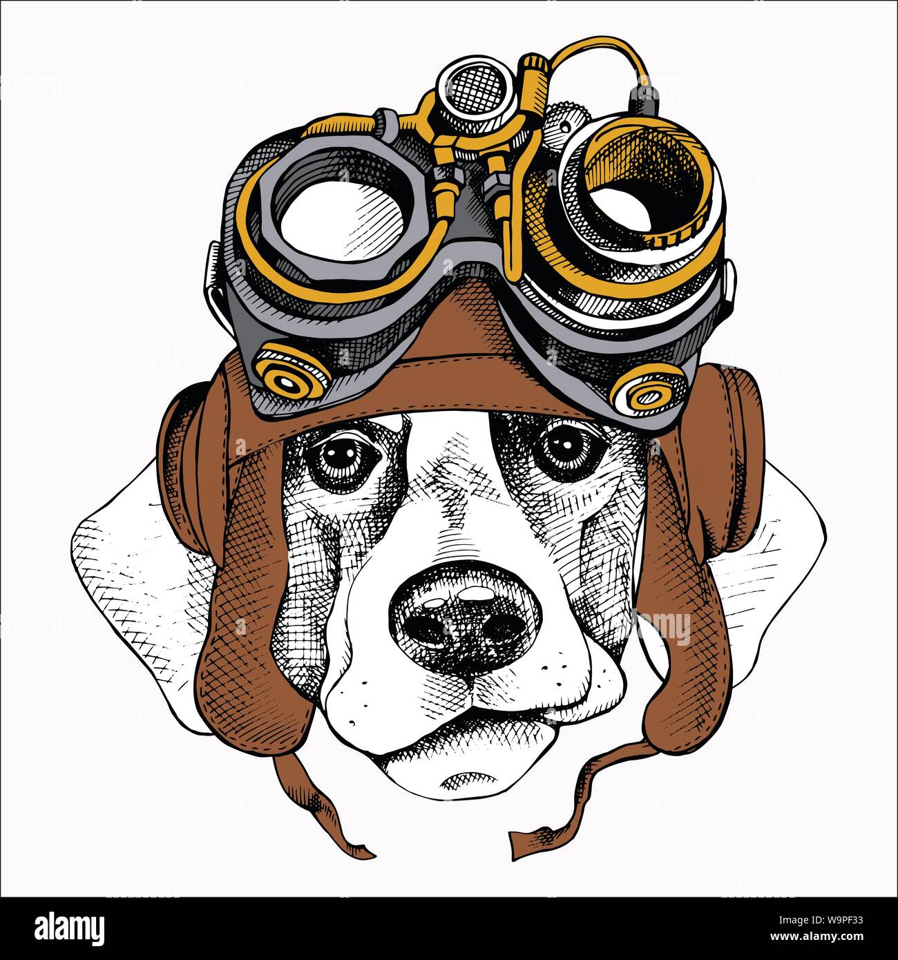 vector illustration of dog with glasses Stock Vector Image & Art - Alamy