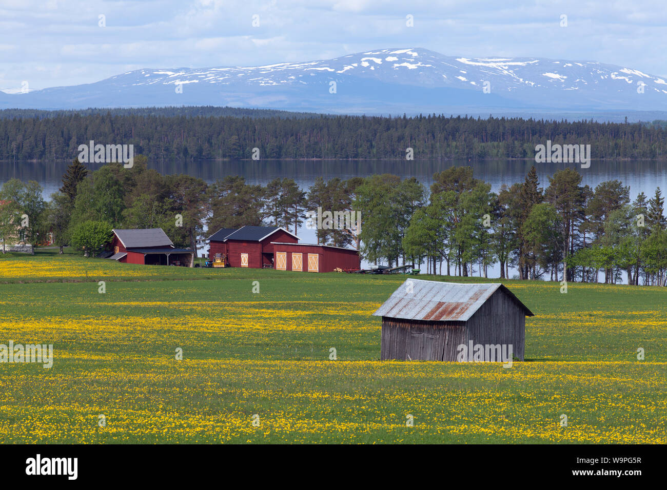Sweden mountain farm hi-res stock photography and images - Alamy