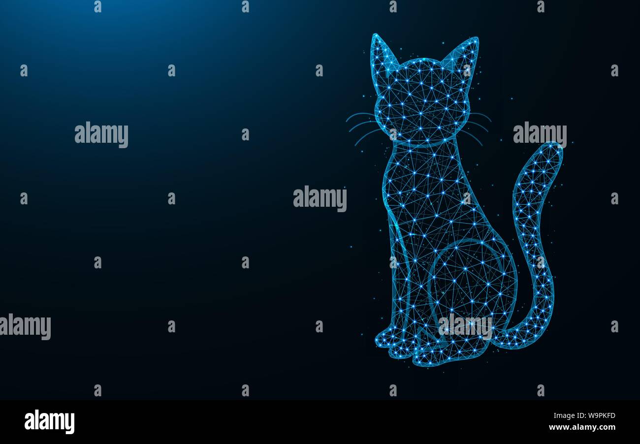 Cat low poly design, animal abstract geometric image, pet wireframe ...