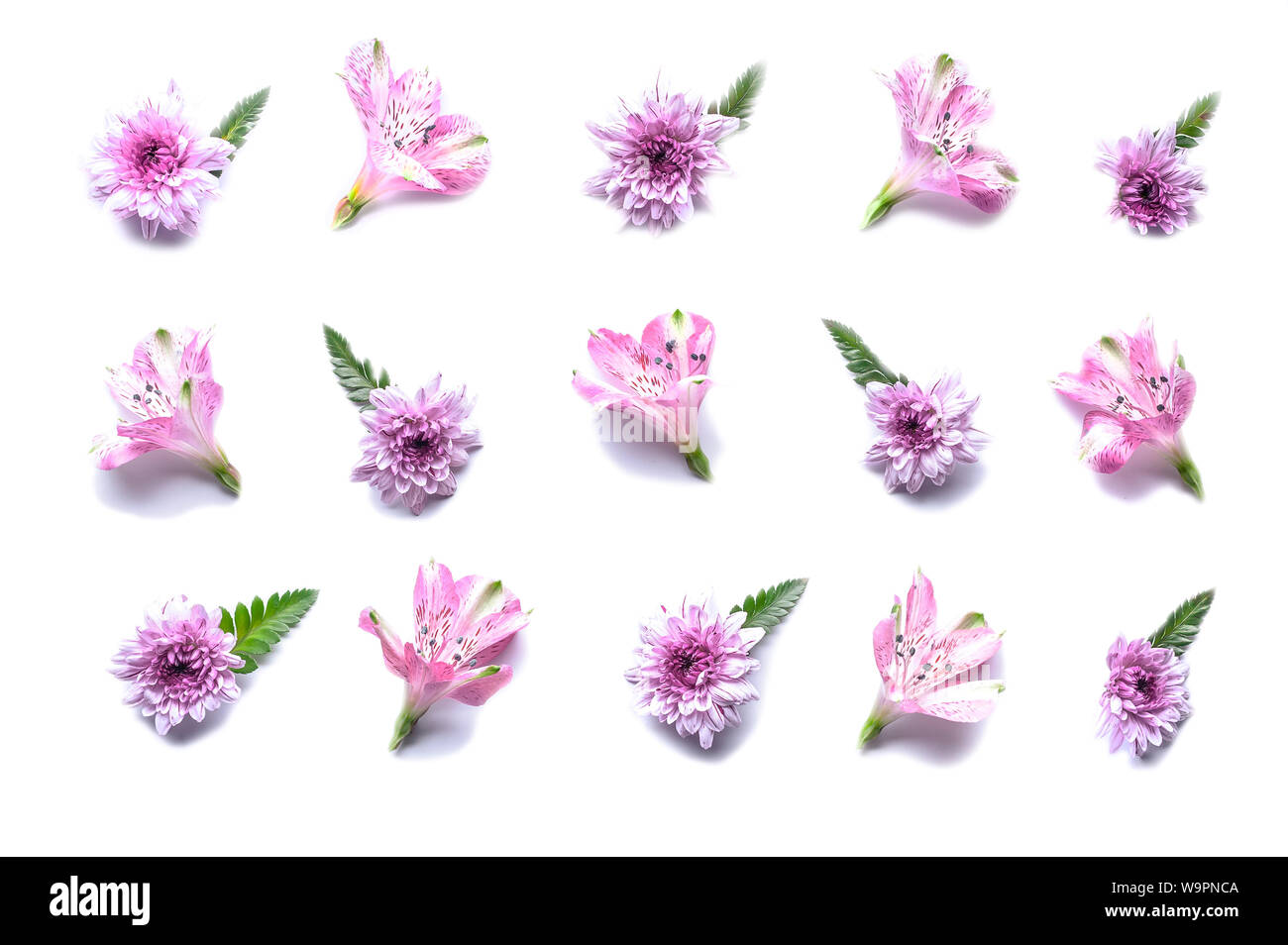 Shadows on flowers Cut Out Stock Images & Pictures - Alamy
