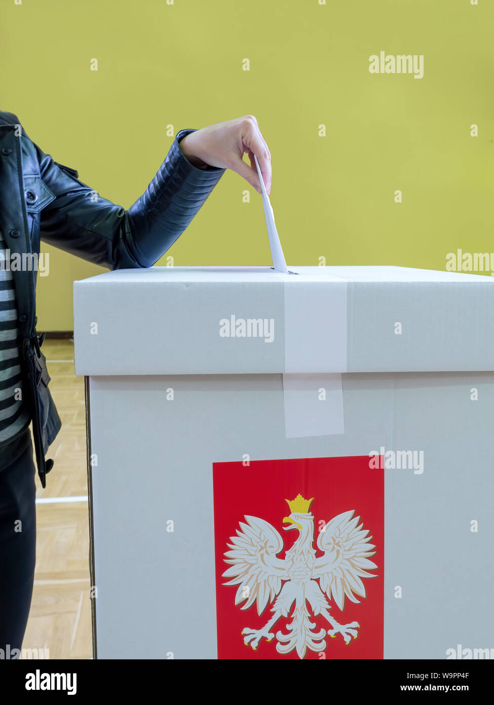 Female voter casting a vote into ballot box during election to the ...
