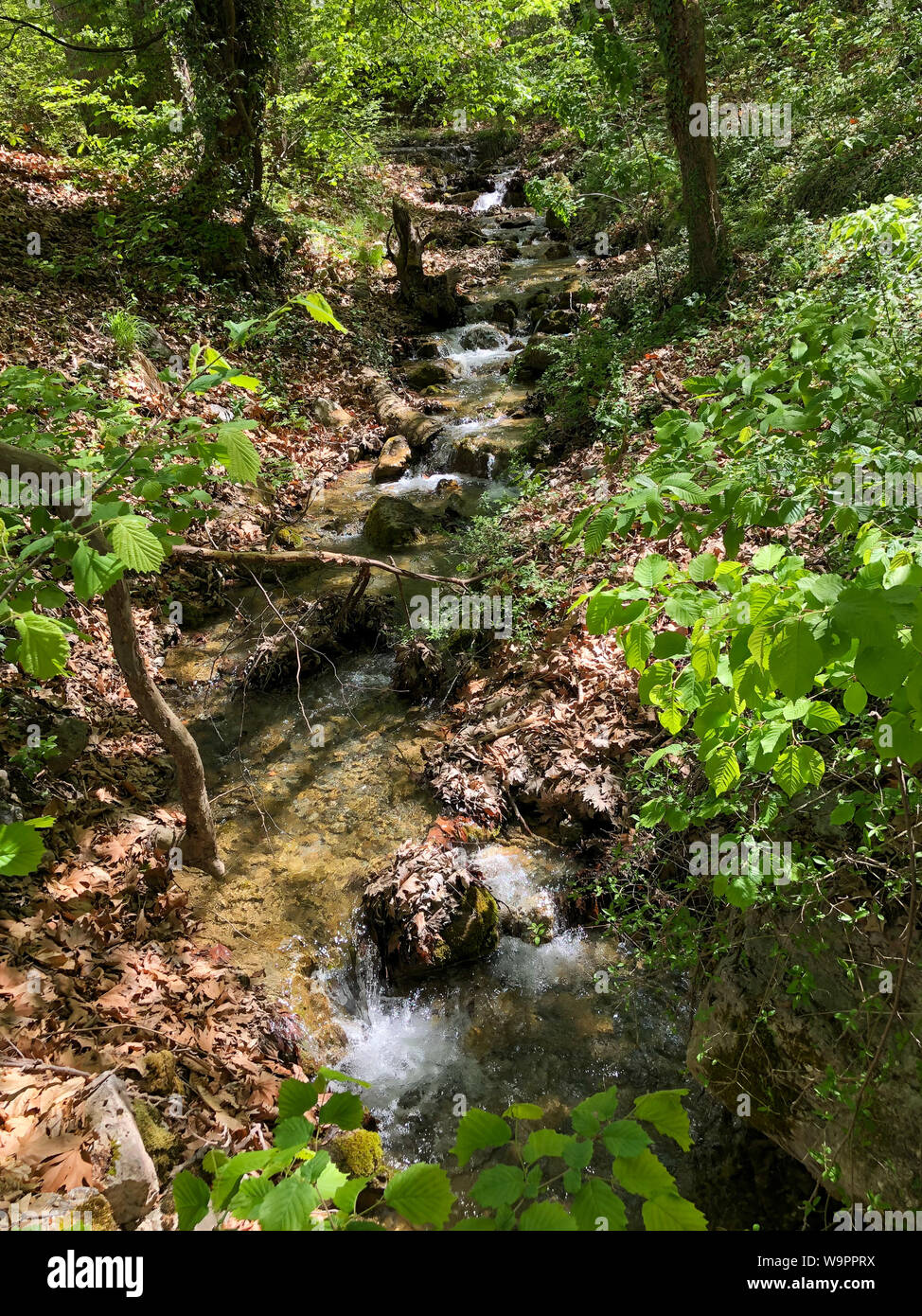 Small creek clear running water hi-res stock photography and images - Alamy