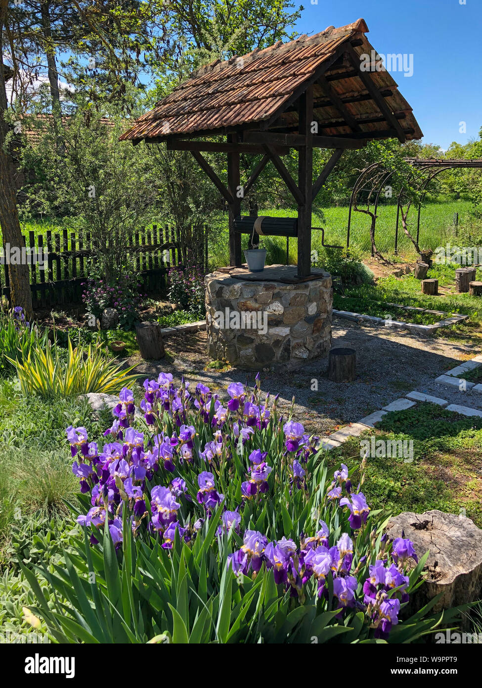 Old and beautiful well with small roof and purple flowers in front ...