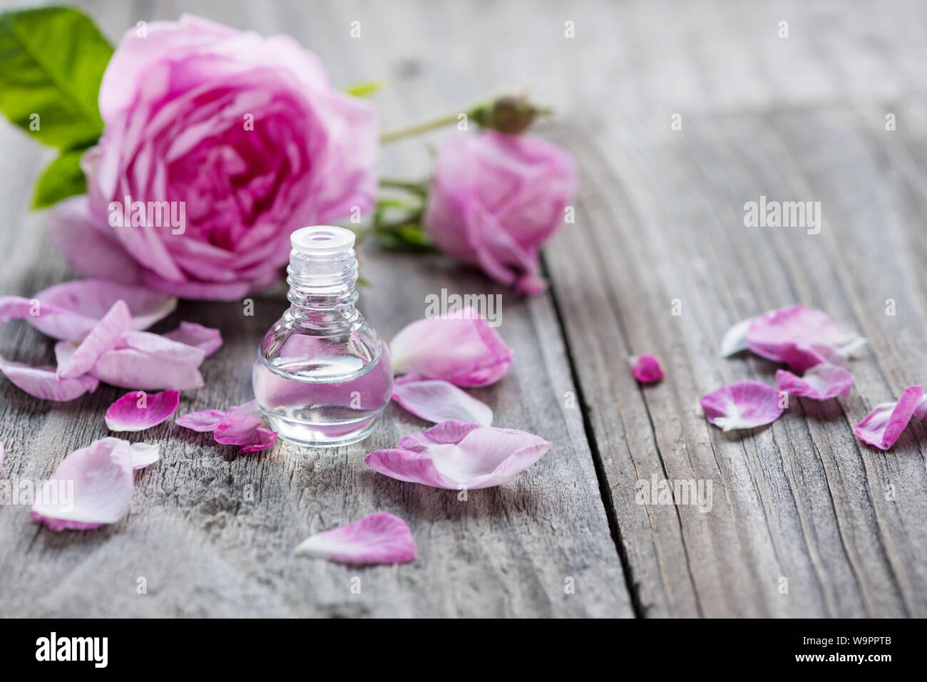 Glass vial with rose essential oil and flower of pink rose on a wooden ...