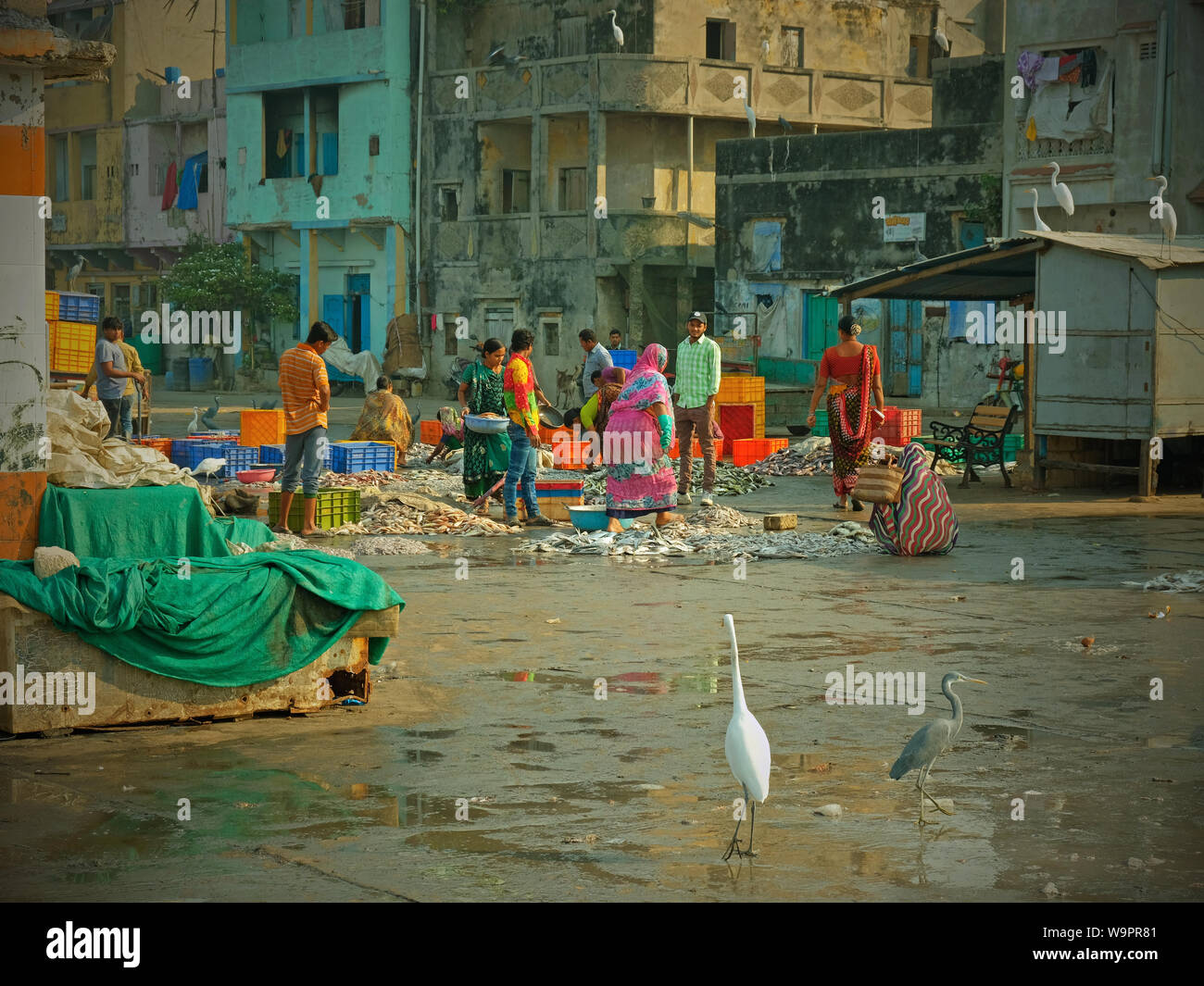 Gujarat, India - November 3, 2016: Busy scene on the quayside at the ...
