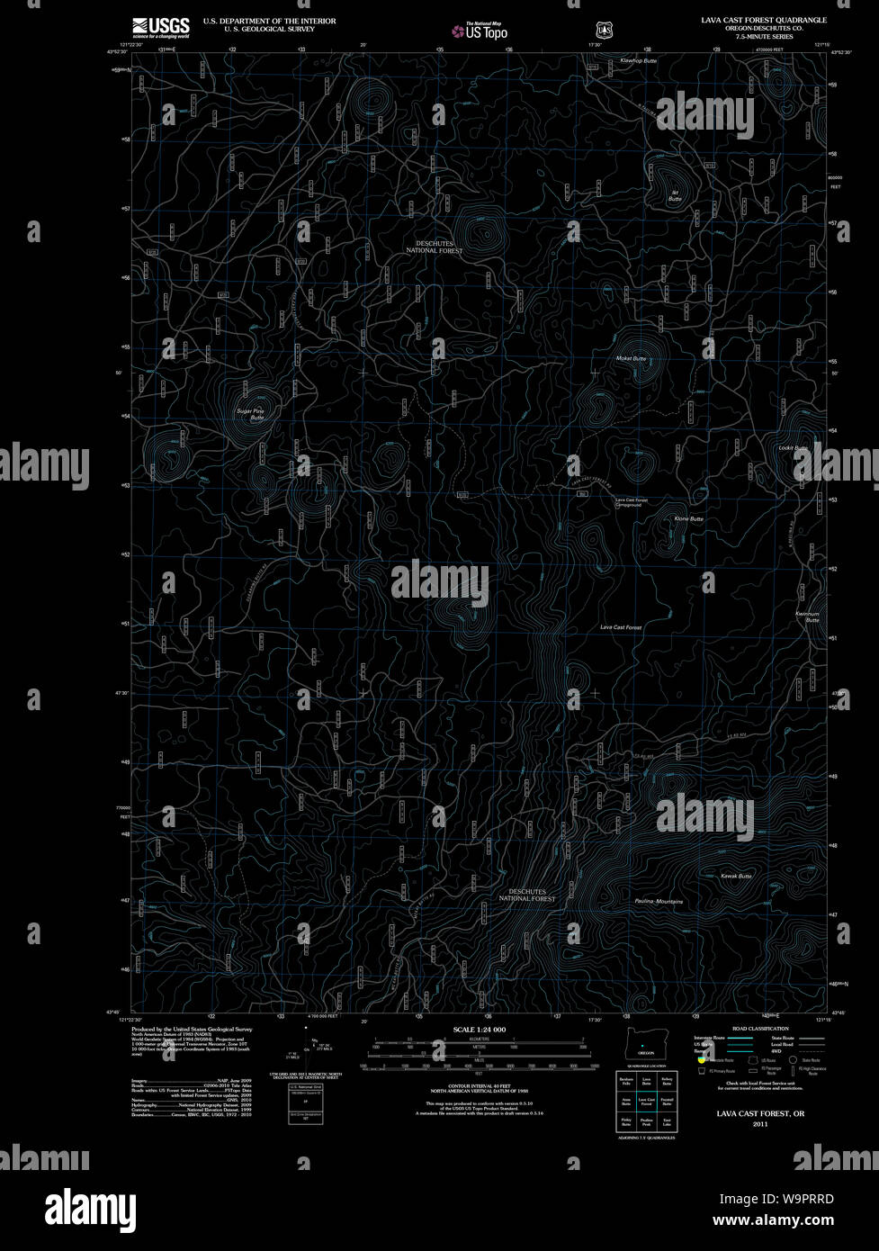 Lava cast forest hi-res stock photography and images - Alamy