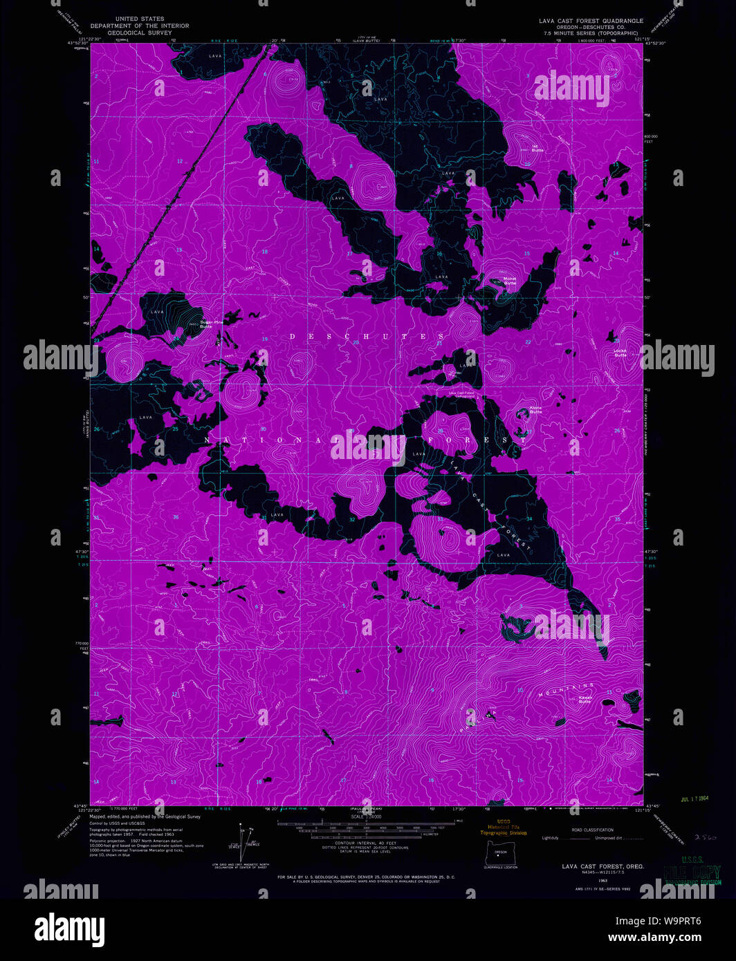 Lava cast forest hi-res stock photography and images - Alamy