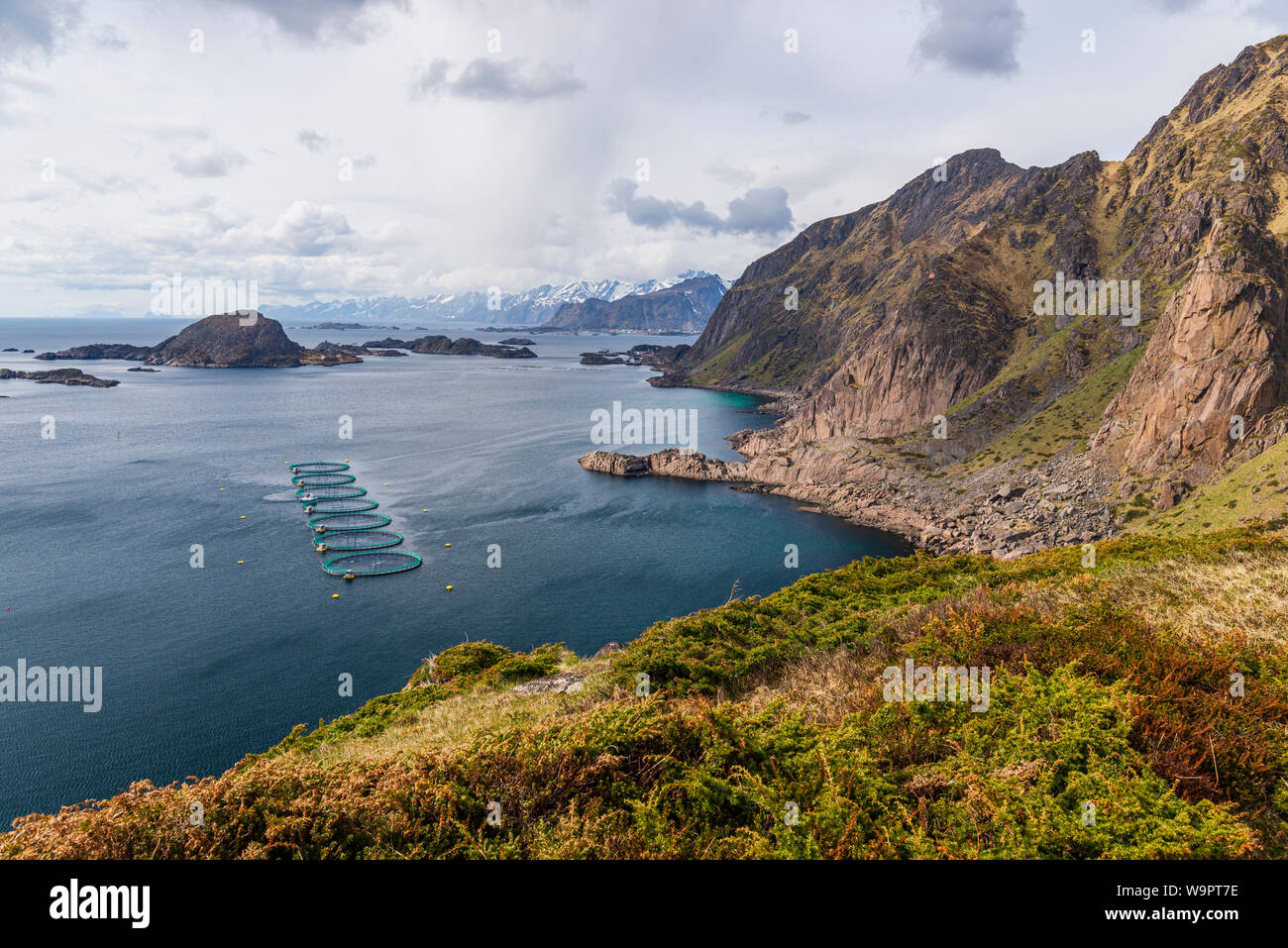 landscape views of the islands Lofoten coastside and inside Stock Photo ...