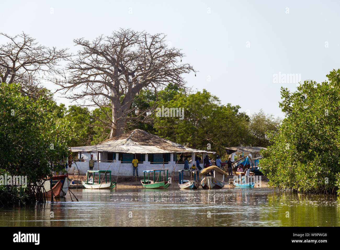 LAMIN, GAMBIA- JAN 5, 2014: Boat trips trough the mangroves starts here ...
