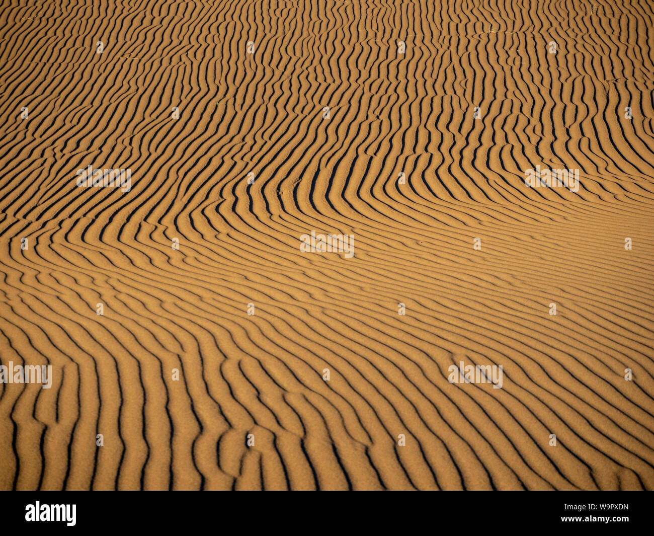 Sand dunes in Morocco, desert landscape, sand texture, tourist camp for ...