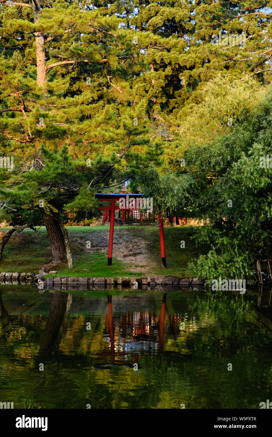 Tori gate nara hi-res stock photography and images - Alamy