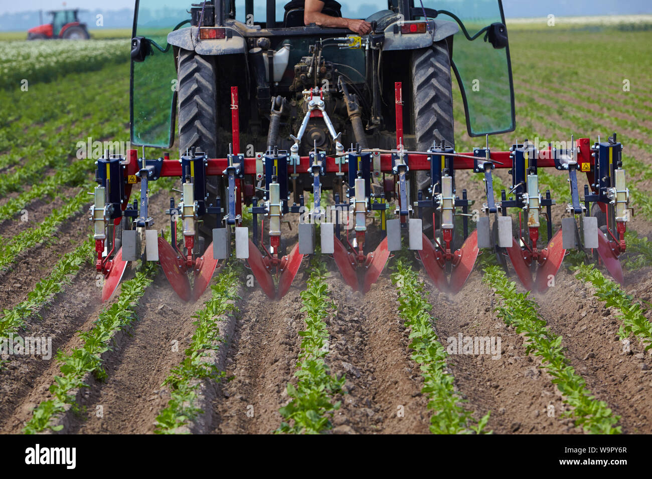 Farmer driving tractor using a harrow to smooth the soil surface ...