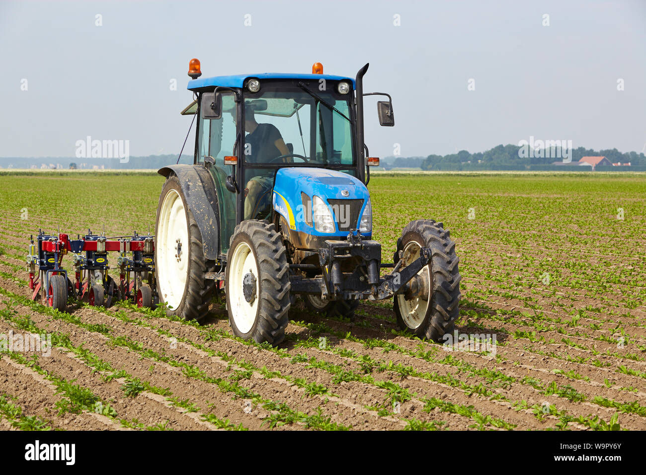 Farmer driving tractor using a harrow to smooth the soil surface ...