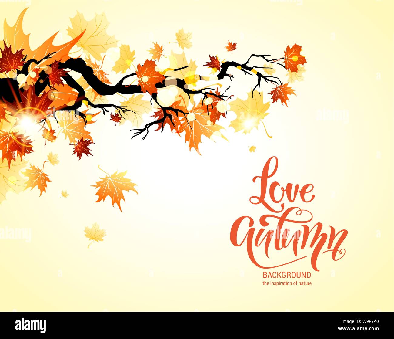Fall maple leaves banner Stock Vector Image & Art - Alamy